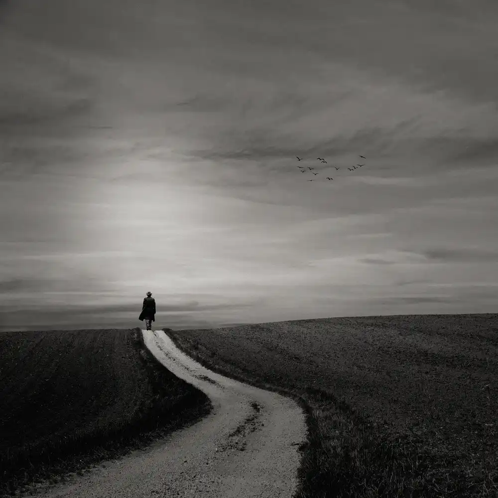 Somebody Walking Alone