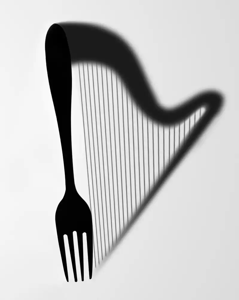 Naoki Matsumura: Harp | Still life | Photographs | Fine art prints ...