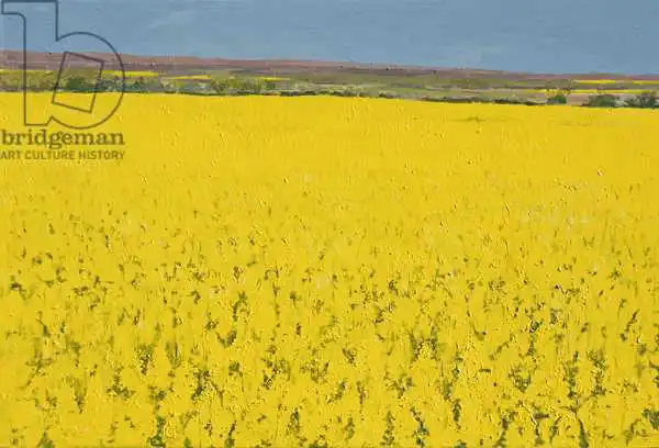 Alan Byrne: Rape Field | Landscapes | Contemporary art | Fine art ...