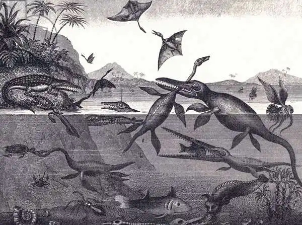 English school (19th century): Prehistoric Animals of the Lias Group ...